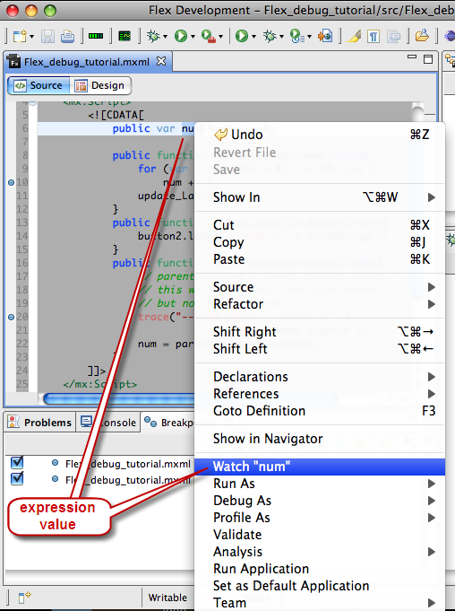 using Adobe Flex debugger